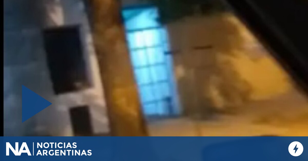 Video: un preso con salidas transitorias se grabó baleando una casa en ... Video: un preso con salidas transitorias se grabó baleando una casa en ...
